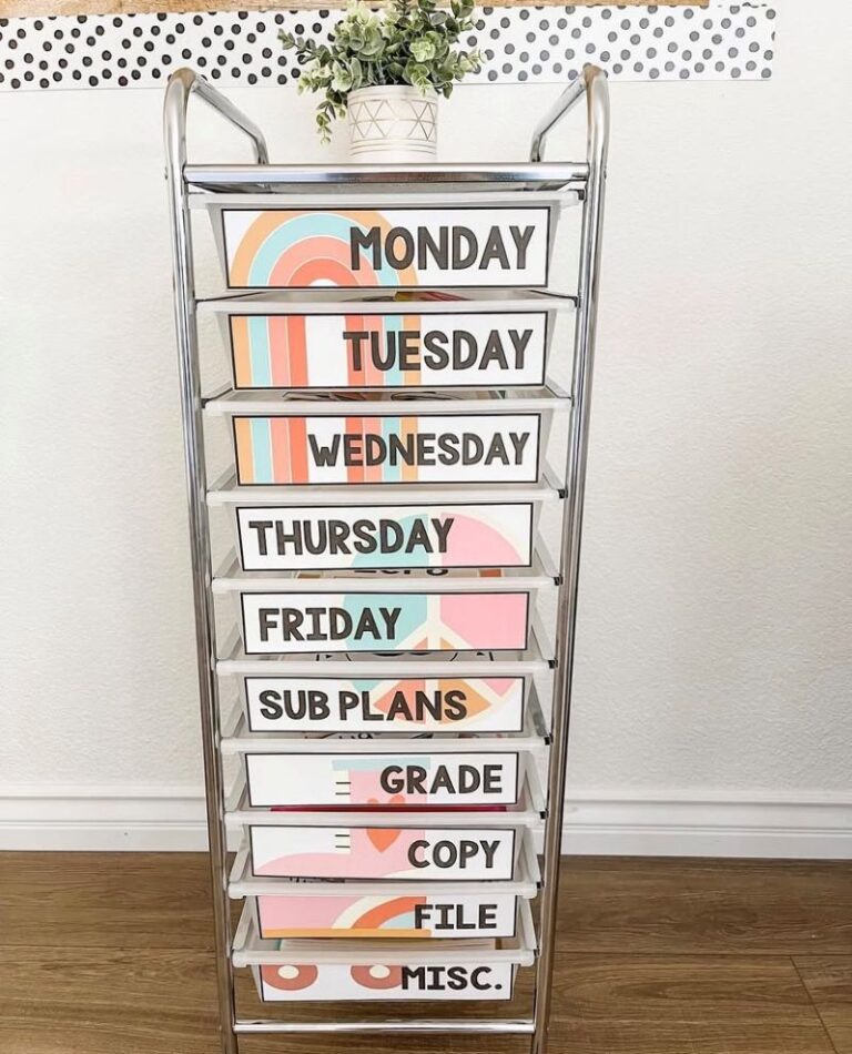 Genius Teacher Cart Ideas for Your Classroom - Chaylor & Mads