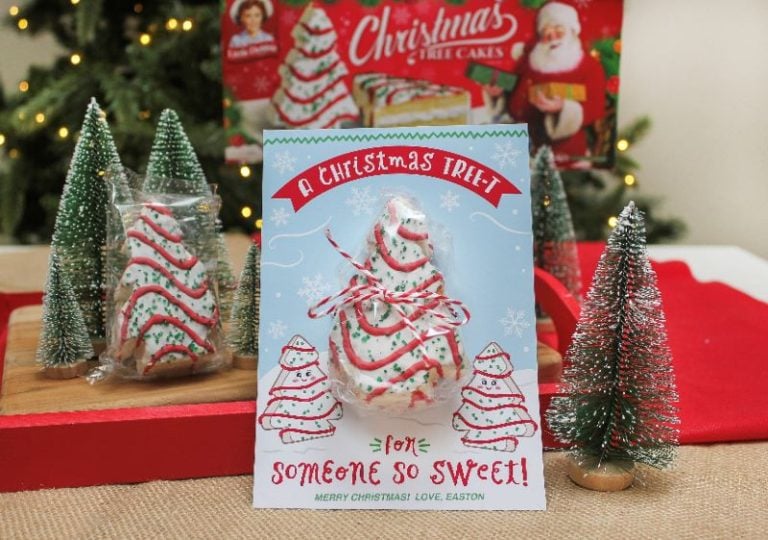 31 Gift Ideas for Students & Classroom Stocking Stuffers - Chaylor & Mads