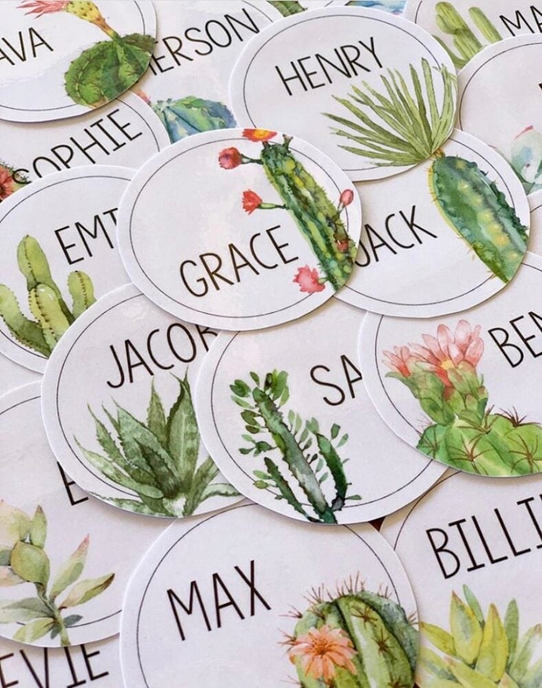 Modern Cactus Classroom Theme Decor Ideas - Chaylor & Mads
