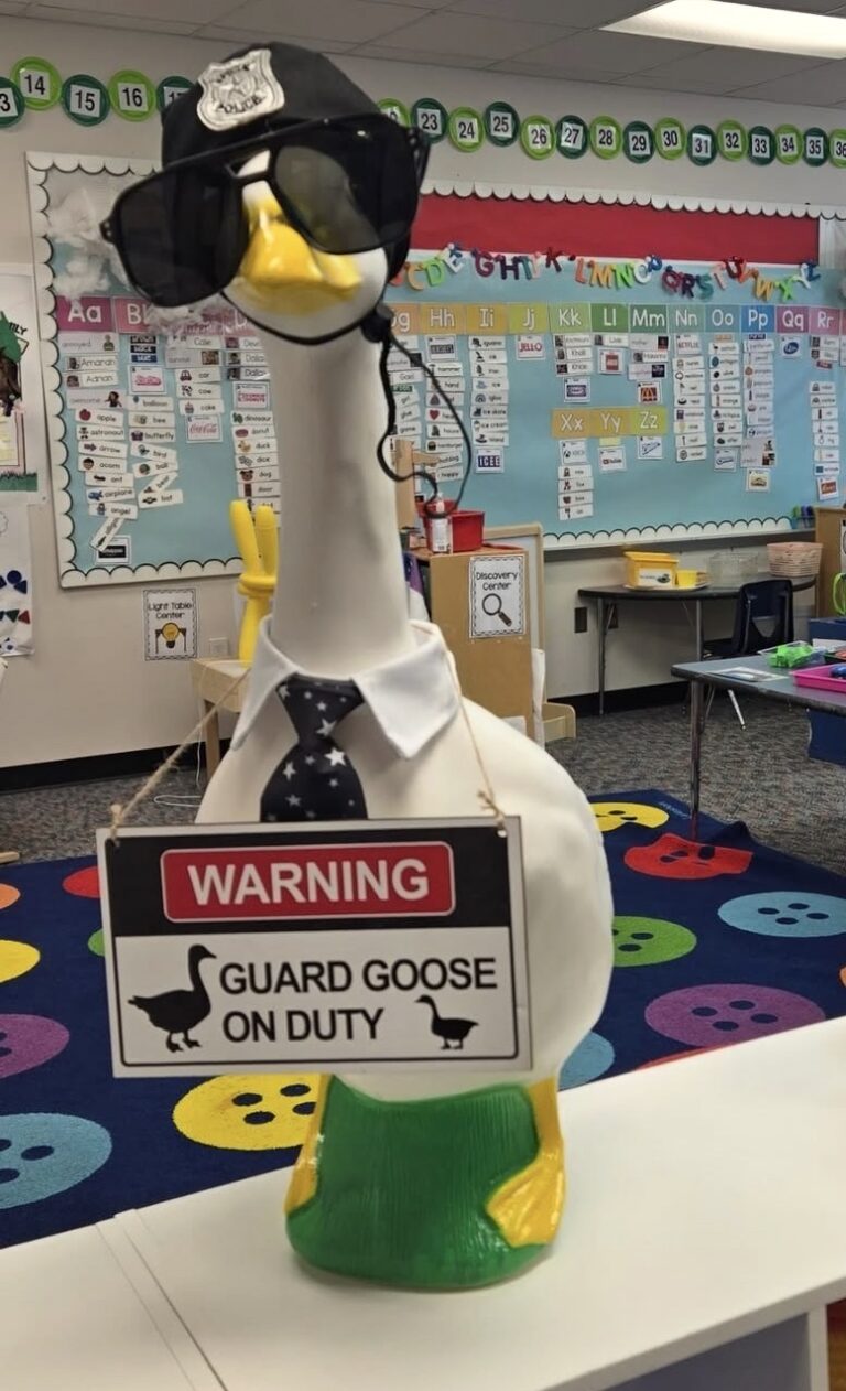 27 Classroom Goose Ideas You’ll Want to Try This Year - Chaylor & Mads